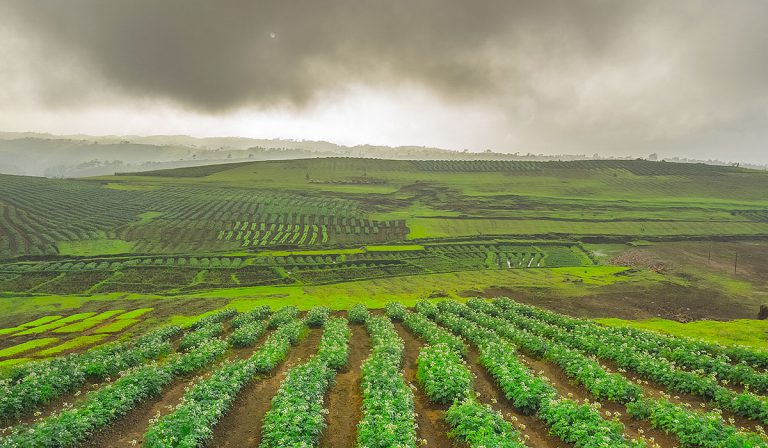 Mountain Agriculture - Integrated Mountain Initiative